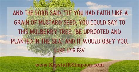 What Is Really Means To Have Faith The Size Of A Mustard Seed