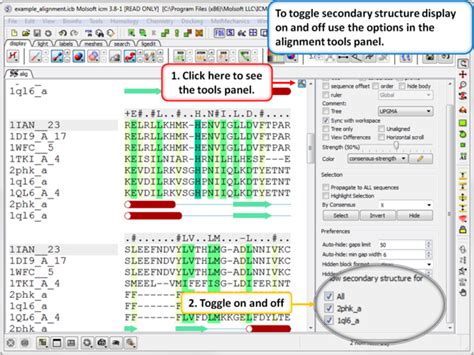 Icm Users Guide Alignment Editor