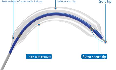 Balloon Catheter Tipping Balloon Catheter Tipping