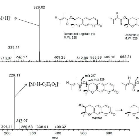Mass Spectra And Fragmentation Patterns Of The Active Compounds In Ce Download Scientific