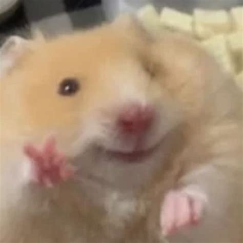 The Scientist Trapped In Hell On Tumblr