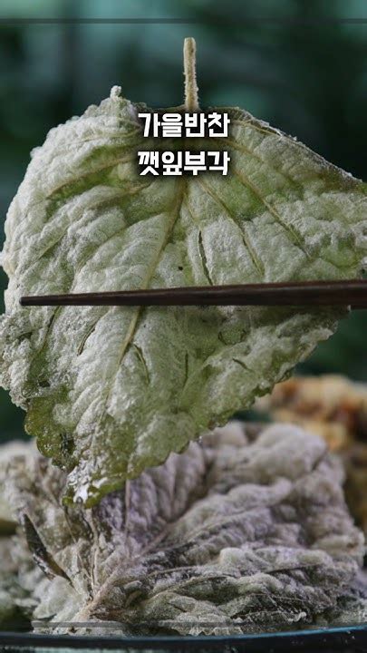 한국인의밥상 가을 밥도둑 바사바삭 깻잎부각 만드는 법 초간단 고소하고 바삭한 깻잎부각 만들기 가을반찬 깻잎부각 깻잎부각만들기 한국인의밥상깻잎부각 Youtube