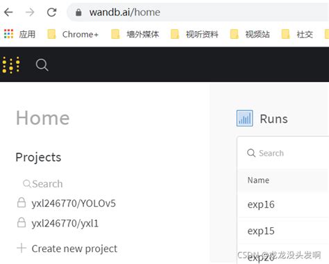 Wandb入门教程wandb是什么 Csdn博客