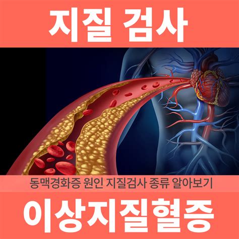 동맥경화증의 원인 지질 검사를 통해 이상지질혈증고지혈증 확인하는 방법은 검진하이 종합건강검진 건강검진정보