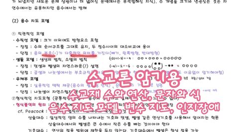 수교론 암기용 수교재 수와 연산 문자와 식음수지도모델 Usiskin 대수학습 구분과 변수의 의미 인지장애 Youtube