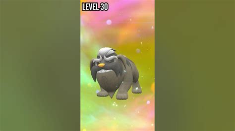 Maschiff Mabosstiff Evolution In Pokemon Scarlet And Violet Pokemon