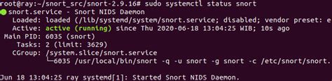 Status Of Active Snort System Download Scientific Diagram