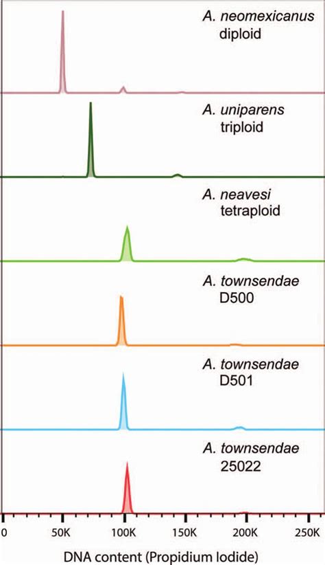 Reticulate Phylogeny A New Tetraploid Parthenogenetic Whiptail Lizard Derived From