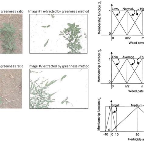 Pdf Fuzzy Logic Systems And Applications In Agro Industrial