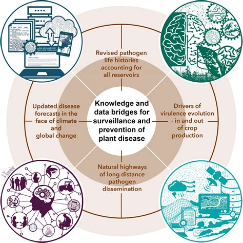 A Global Surveillance System For Crop Diseases At Rebecca Castillo Blog