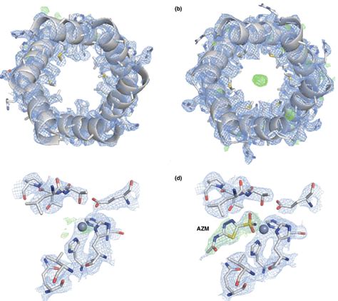 Visualizing Drug Binding Interactions Using Microed A Structure Of Download Scientific