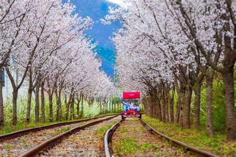 이렇게 알찰 줄이야… 입장료·숙박비 혜택 쏟아지는 핫한 여행지 여행을말하다 여행을말하다