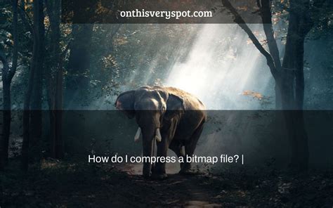 How Do I Compress A Bitmap File On This Very Spot