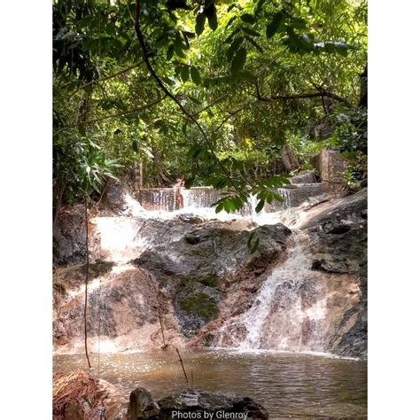 Mr Glenroy Alex Roberts Sr On Linkedin Stxrainforest