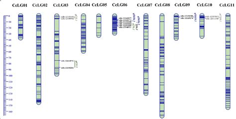 6 8k High Density Genetic Map With Qtls For Target Trait Qtl Names In Download Scientific