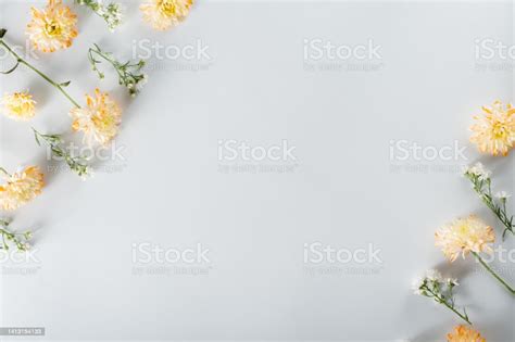 국화와 커터 꽃 구성 흰색 배경에 다양한 노란색 또는 주황색 꽃과 녹색 잎으로 만든 패턴과 프레임 플랫 레이 탑 뷰 복사 공간 봄 여름 개념 0명에 대한 스톡 사진 및 기타
