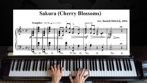 Sakura Sakura さくら さくら Cherry Blossoms Cherry Blossoms Piano