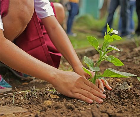 Campesinos Del Sur Del Tolima Trabajan Por La Conservacion De Los
