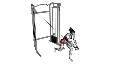 Cable Twist Exercise Guide Tips Up Down Version Female