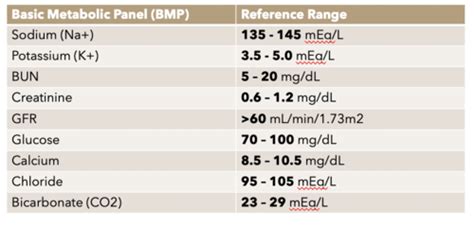 Exam Principles Of Lab Flashcards Quizlet