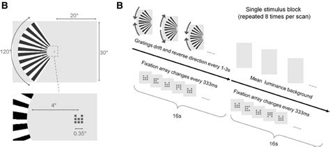 Stimulus Configuration And Timings A The Stimulus Comprised Two Download Scientific Diagram