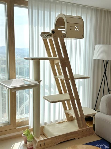 그린웨일 튼튼한 원목 캣타워 뚱냥이도 가능한 B7 5단 대형 내돈내산 구매후기 네이버 블로그