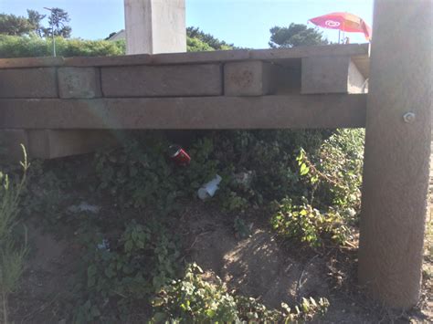 Trash Detect Object Detection Dataset And Pre Trained Model By Dune