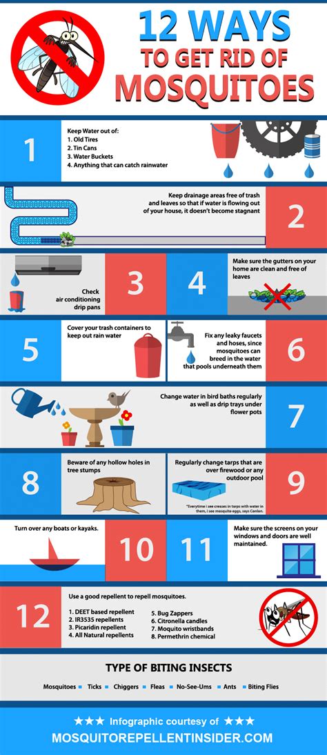 12 Ways To Get Rid Of Mosquitoes In Your Home Or Yard