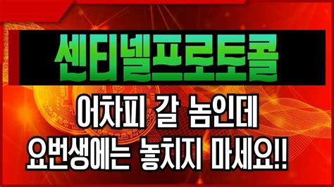 센티넬프로토콜 어차피 갈 놈인데 요번생에는 놓치지 마세요 Youtube