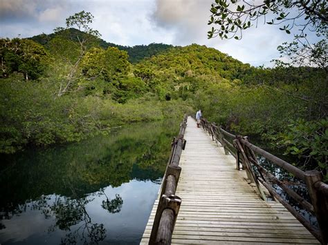 Visitar El Parque Nacional Utría Costa Pacifica Mi Viaje Por Colombia