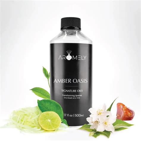 Comprehensive Diffuser Setup Guide Detailed Instructions For Oil