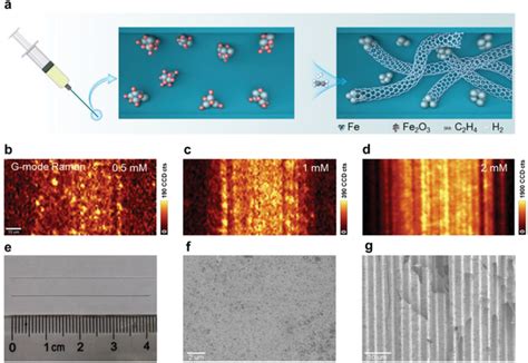 Growth Of A High‐density Uniform Cnt‐embedded Optical Fiber A Download Scientific Diagram