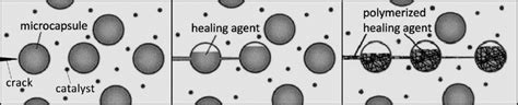 Self Healing System As Developed By White Et Al 2001 A