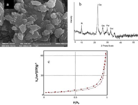 A Sem Image And B Xrd Pattern And C Adsorption Desorption Download Scientific Diagram