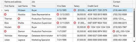 Interface Based Validation Wpf Controls Devexpress Documentation