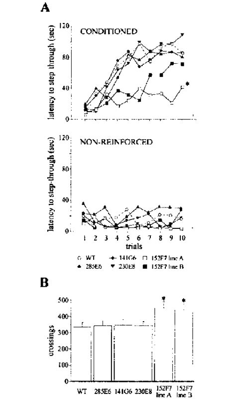 Dyrk1a Overexpressing Mice Display Passive Avoidance Impairment And