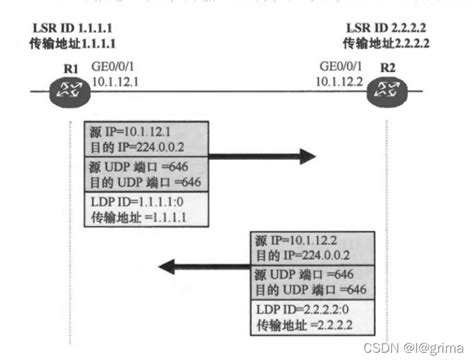 手工搭建与动态配置：静态lsp与ldp在mpls网络中的实践 Csdn博客