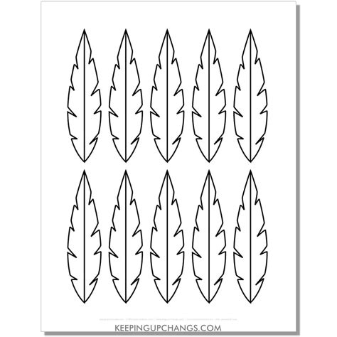 Turkey Feather Template