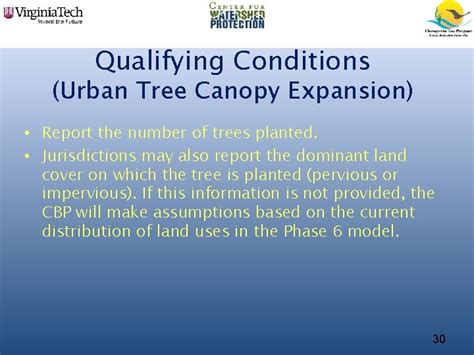 Urban Tree Canopy Expansion And Urban Forest Planting