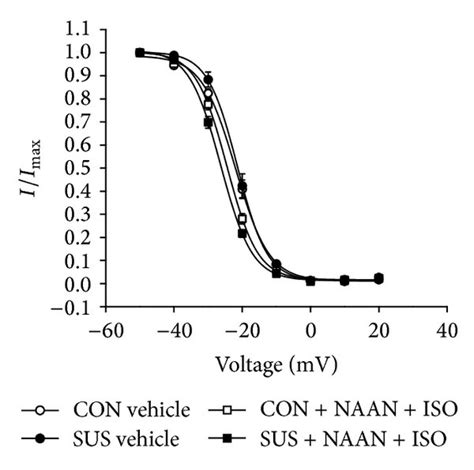 Properties Of Ltcc Steady State Inactivation In Cardiomyocytes Of Download Scientific Diagram