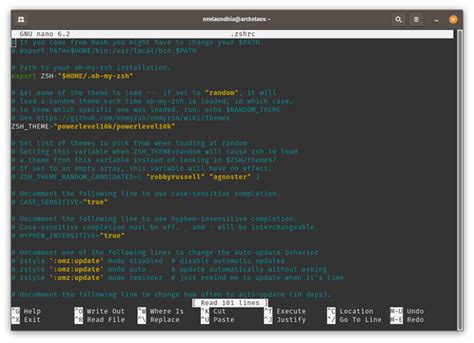 How To Set Up Zsh With Oh My Zsh And PowerLevel K