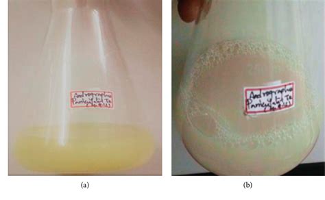 Figure 1 From Phytosynthesis Of Titanium Dioxide Nanoparticles Using King Of Bitter Andrographis
