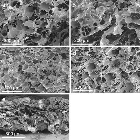 Sem Micrographs Showing The Cross Section Of A 0 B 361 C 769 D