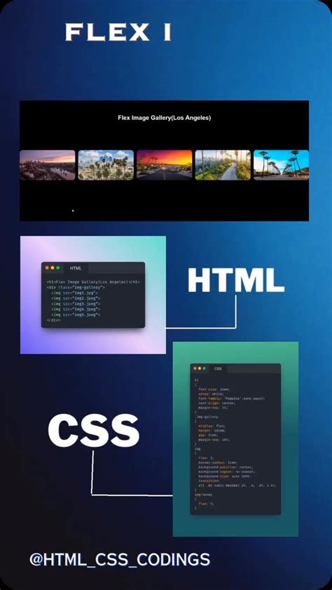 Riya 🙋‍♀️ Html Css Javascript ‼️ Codewithriya • Instagram Photos