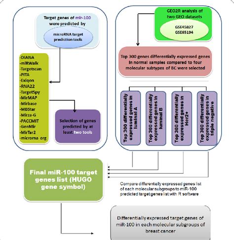 The Bioinformatics Pipeline Employed In The Current Study Download Scientific Diagram