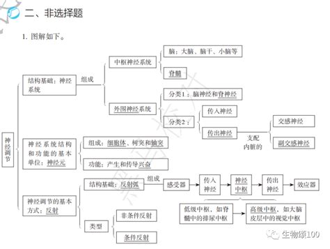 高二生物选择性必修一，第2章 第5节 人脑的高级功能 高中学习网 人民教育出版社人教版部编同步解析与测评答案 电子课本资料下载 知识点学习方法与技巧补课解题技巧学习计划表总结 人教网 高中试卷
