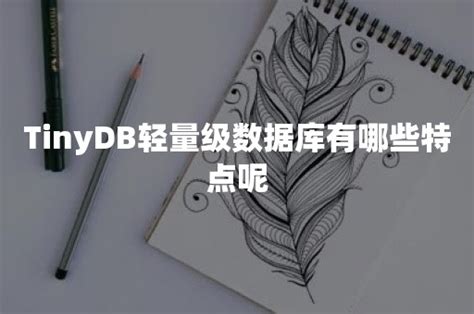 Tinydb轻量级数据库有哪些特点呢 Pingcap 平凯星辰 Tinydb轻量级数据库有哪些特点呢 Pingcap 平凯星辰