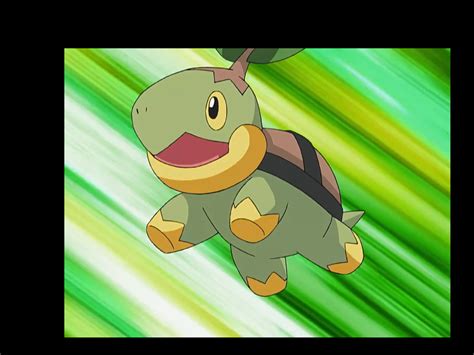 Turtwig By Tatsunokoisthebest On Deviantart