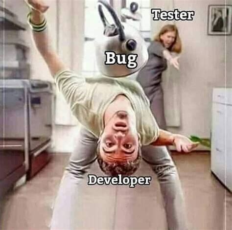 Tester Vs Developer Rprogrammerhumor