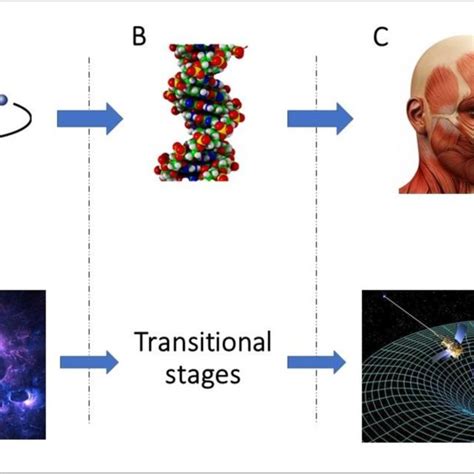 Scheme Of Atomic Structure A Molecule System B And Human Download Scientific Diagram